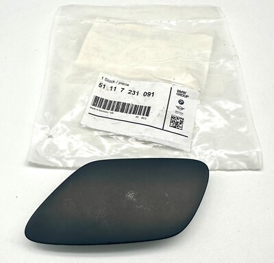 BMW Z4 Front Bumper Trim 51117231091 OEM & Brand New | eBay