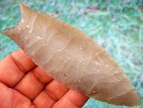 Super Fine 4 7/8 inch Semi-Translucent Florida Simpson Point with COA ...