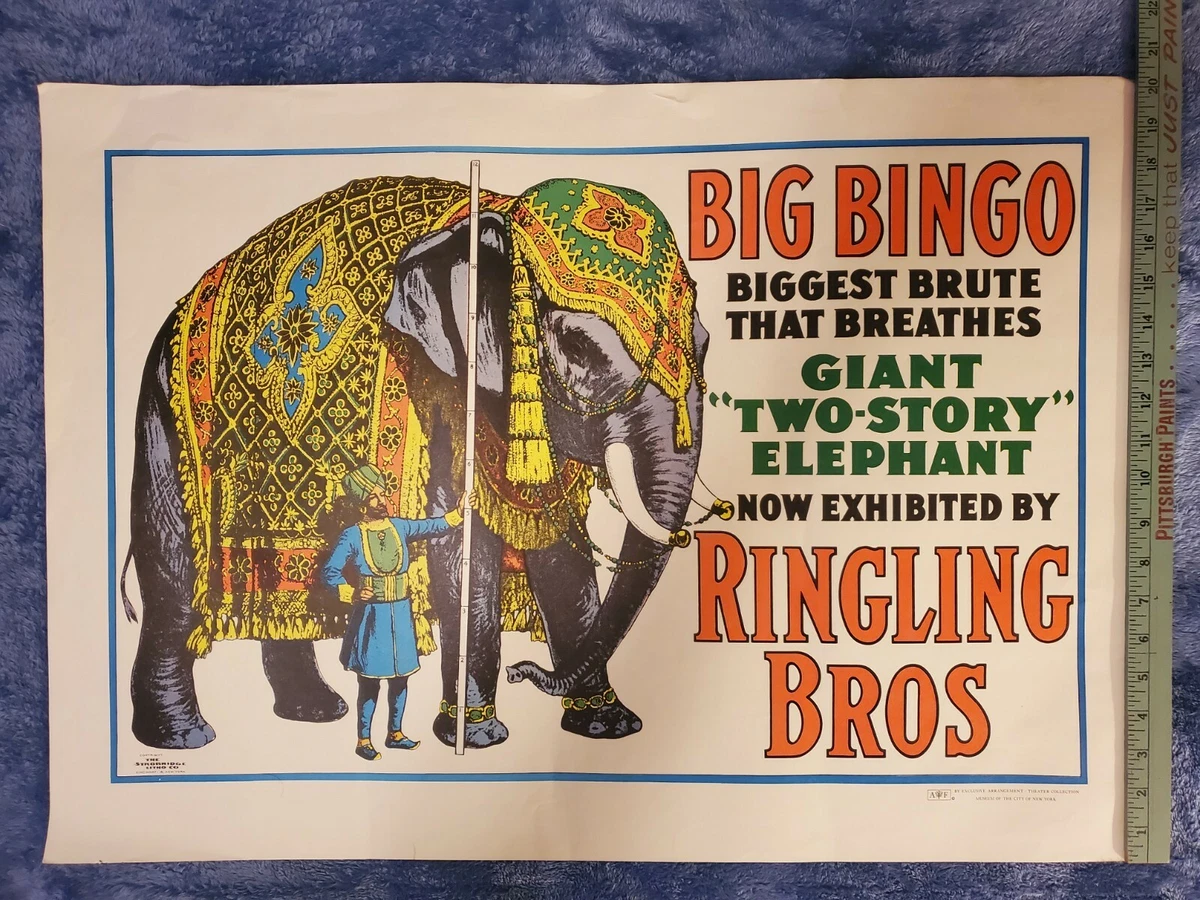 Circus Elephant Poster