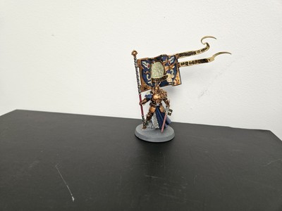 Warhammer Age Of Sigmar Stormcast Eternals Knight Vexillor Painted | eBay