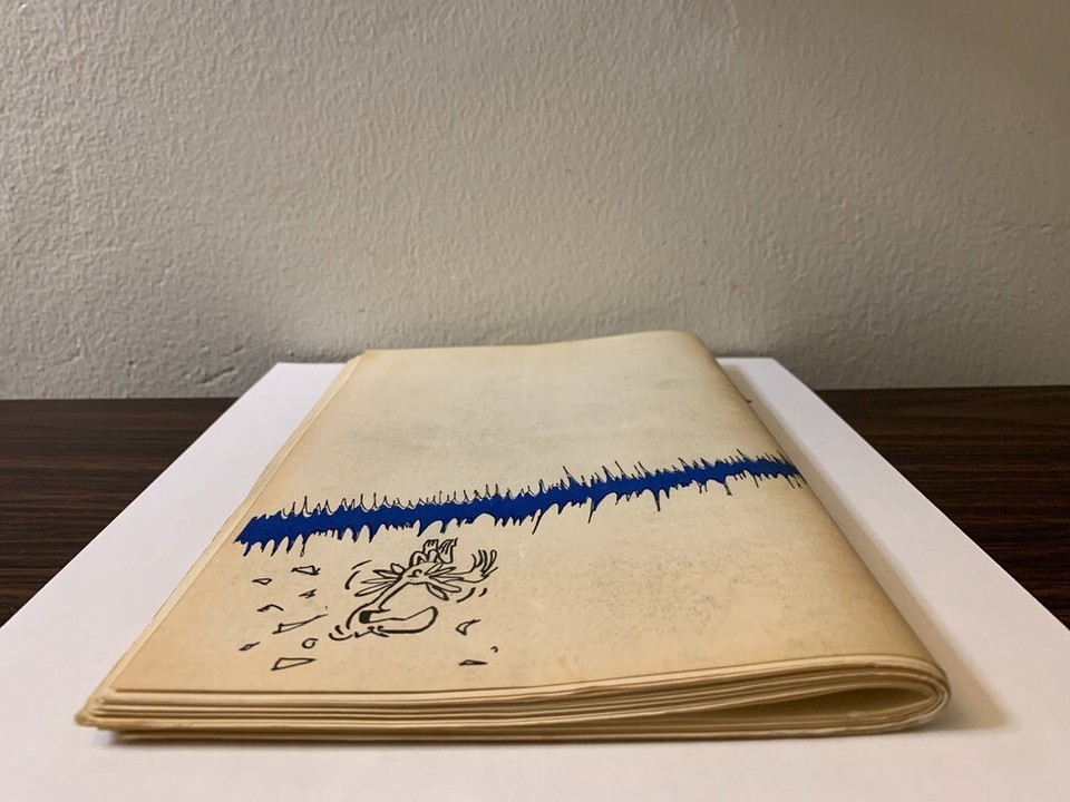 Rare Vintage 1973 SDCC San Diego Comic Convention Program Neal Adams ...