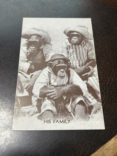 Vintage 1940s Arcade Exhibit Card RPPC Humorous Monkey’s | eBay