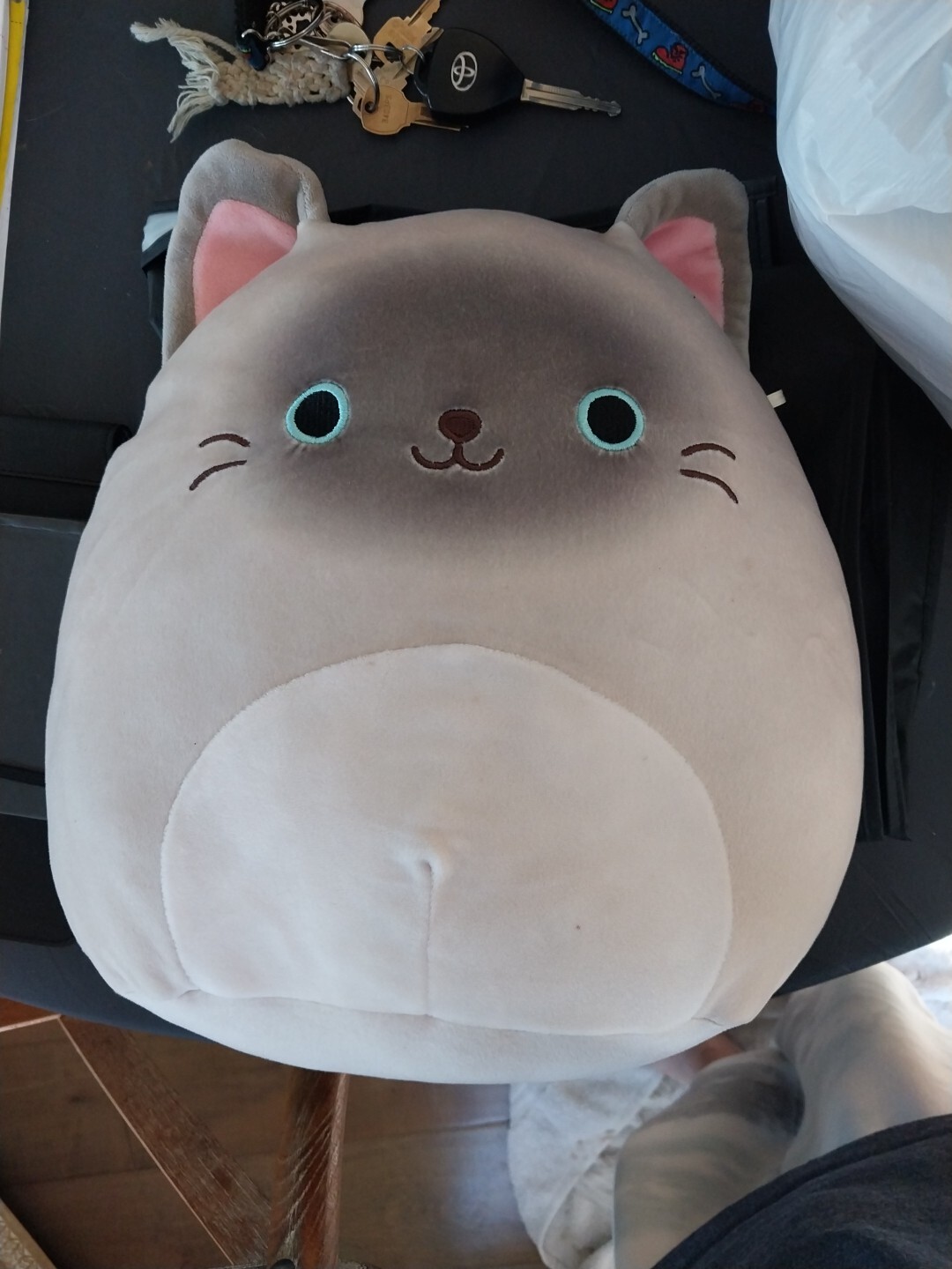 Squishmallows Felton The Siamese Cat 12” Plush Kellytoy 191726477884| eBay