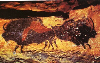 Lascaux Cave Bison - 17,000 Years old Art printed on Archival CANVAS ...