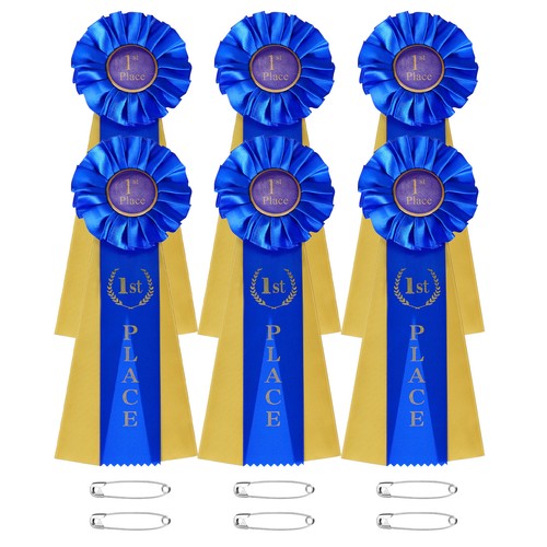 6 Pcs Award Ribbons 1st Place Winner Ribbon Prize Ribbon, Blue ...