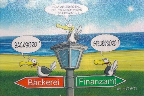 Platzset Backbord steuerbord 30x44 Cm online kaufen | eBay