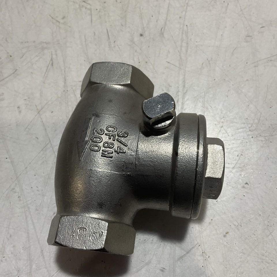 DERVOS CF8M 200 SWING CHECK VALVE 3/4" RM6 | eBay