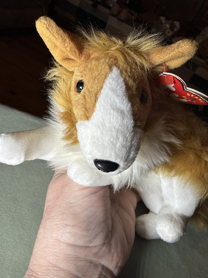 Ty Beanie Babies Cassie Collie puppy/ dog 2000 Retired Plush | eBay