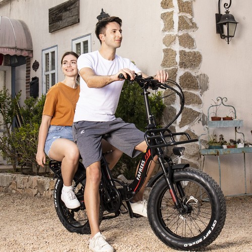 FAFREES F20 MAX Elektrofahrrad Klapprad e Bike 20 Zoll e Mountainbike ...