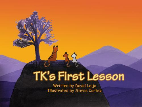 TK's First Lesson by David Leija (2018, Trade Paperback) for sale ...