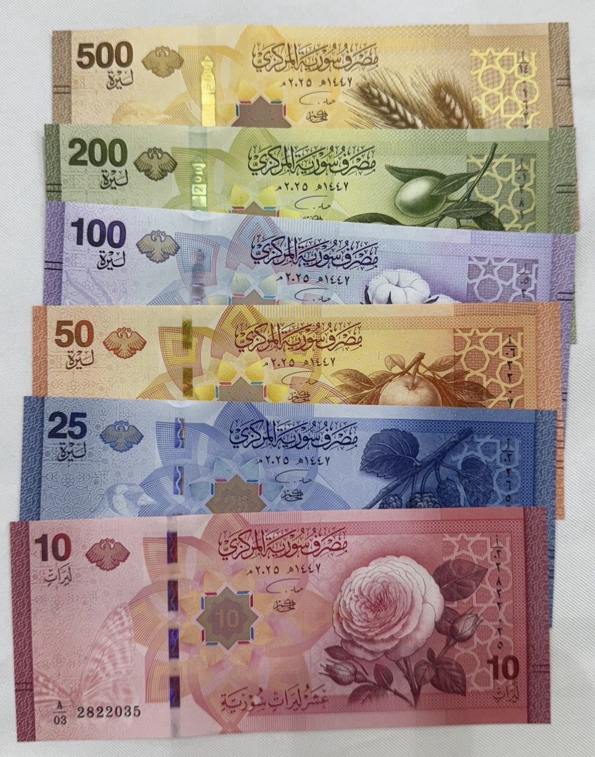 New Syria Set 2025 – Antique Coins World