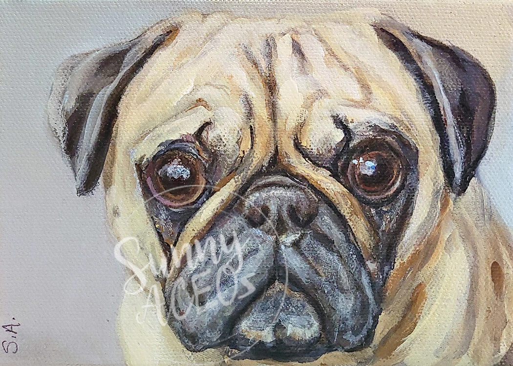 Puppy Howling Drawing