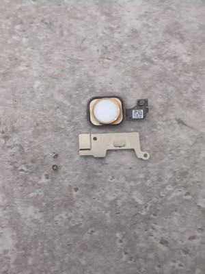 Home Button with Flex for iPhone 6S / iPhone 6S Plus - Rose Gold | eBay