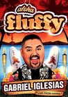 Gabriel Iglesias: Aloha Fluffy DVD 97368807846 | eBay