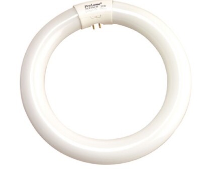 HALCO/ProLume FC8/T9 Daylight 22watt 8 inch Circline Fluorescent G10q ...