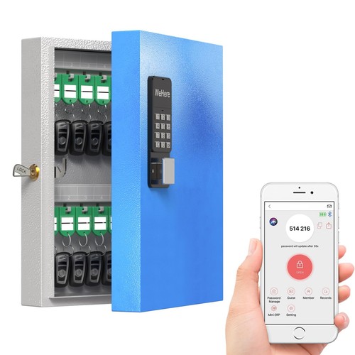 32 Keys Lock Box Wall Mount(Plus), use APP Bluetooth/OTP/Fixed Code/Wi ...