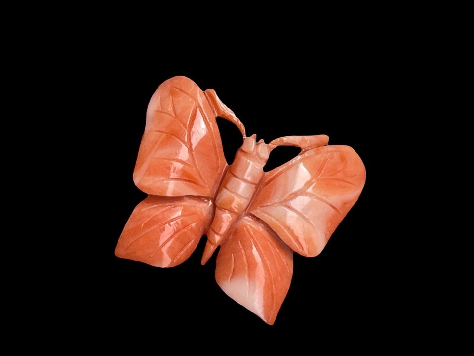 Large Carved Coral Butterfly Figurine Momo Coral | eBay