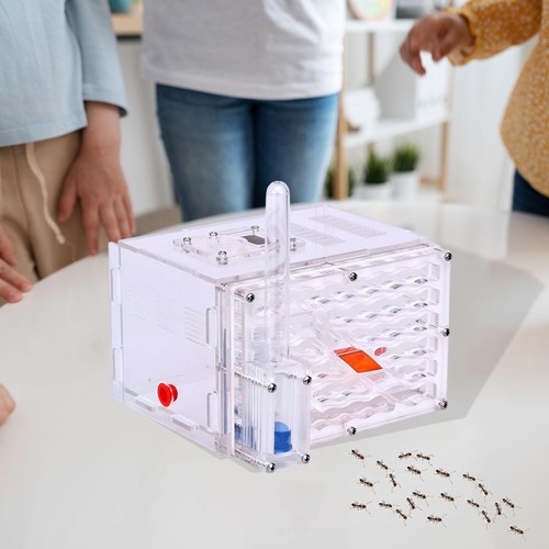 ANT Housing Nest Toys Workshop ANT Cage for Lovers Decoration Childrens ...