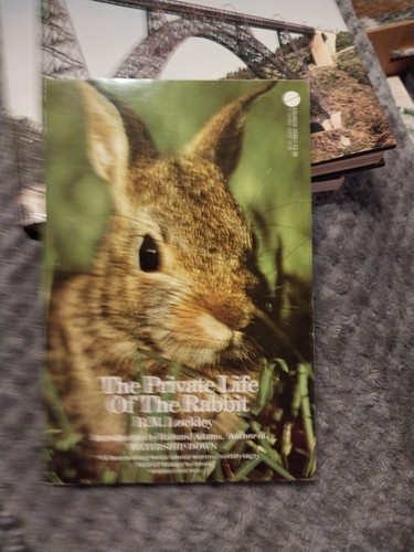The Private Life of the Rabbit : R. M. Lockley 1975 Second Printing | eBay