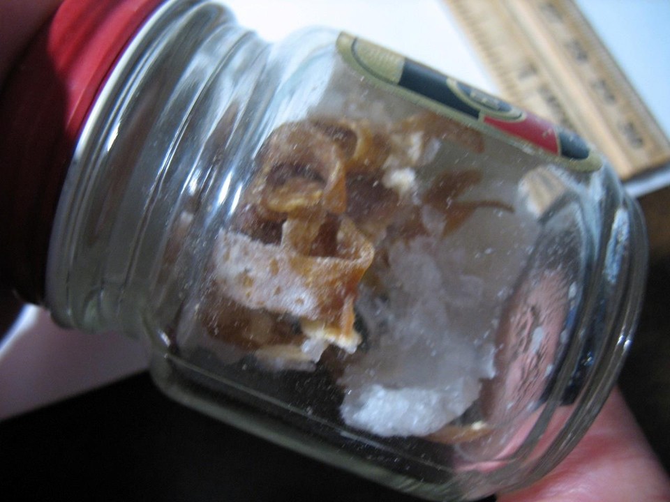 Al Foss Pork Rind jar old fishing lure | eBay