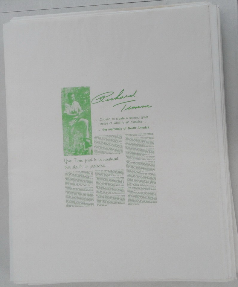 Richard Timm Porcupine 22"x28" Registered & Signed Lithography Fine Art ...