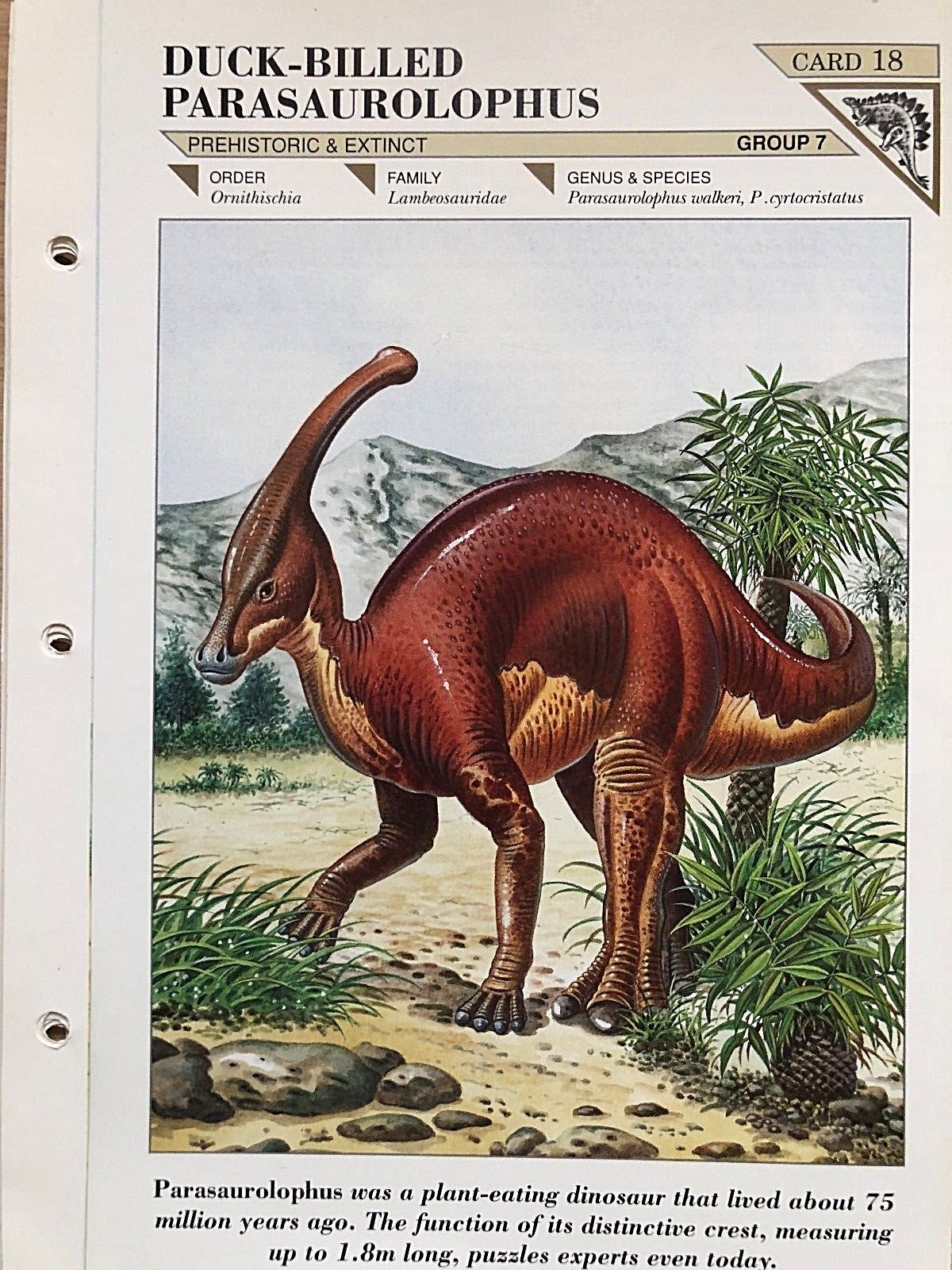 Wildlife-Fact-File-Extinct Animals-Wild Animals-School-Nature-From 1 to ...