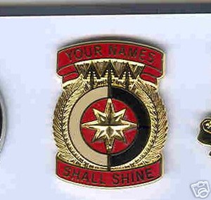 CREST DI,*NEW* 321ST SUSTAINMENT BRIGADE | eBay