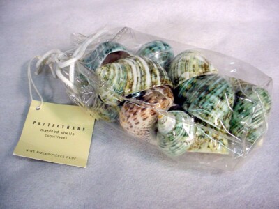 NEW Bag POTTERY BARN Marbled SEA SHELLS Decorative NAUTICAL Beach OCEAN ...
