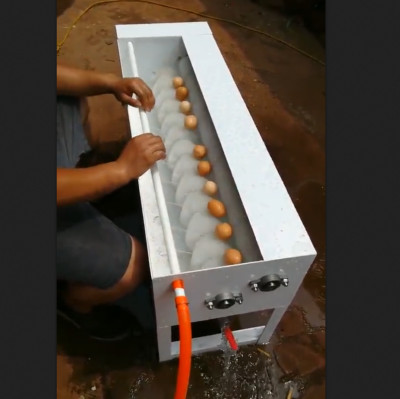 110V 750W Egg Surface Cleaning Semi-Automatic Egg Washer Egg Washing ...