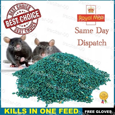 RAT MOUSE POISON BAIT MAX STRENGTH RODENT KILLER GRAINS KILLS IN A ...