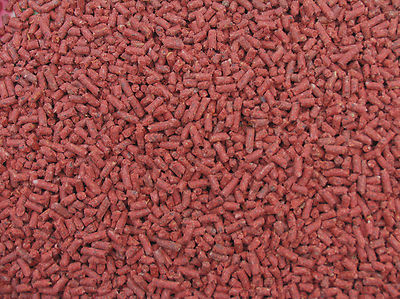 Robin Red Fishing Pellets Red Carp Fishing Bait Boilies | eBay UK