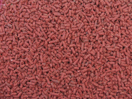 Robin Red Fishing Pellets Red Carp Fishing Bait Boilies | eBay