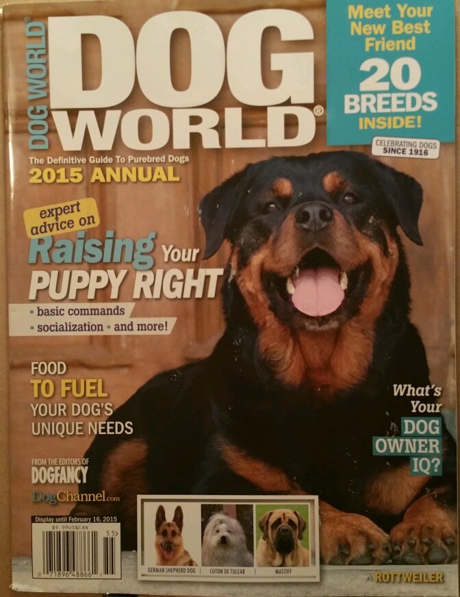 Guide To Purebred Dogs Poster Dogs New Zealand CGC CGC Home