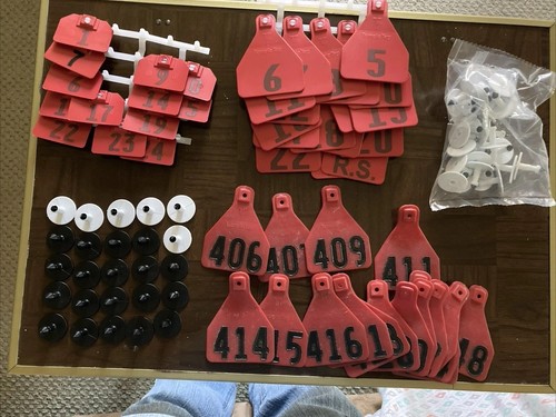 50 PCS Cattle Ear Tags Numbered Plastic Livestock Animal Ear RED | eBay