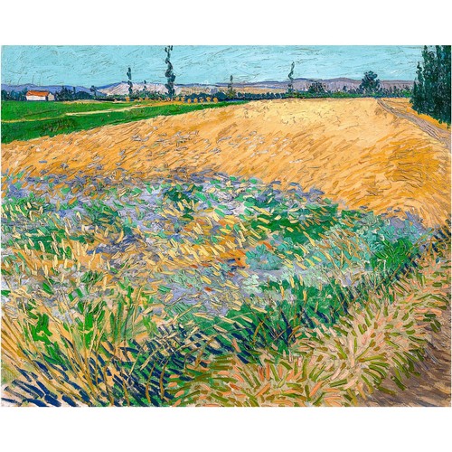 Van Gogh, Wheatfield, 1888, Pearl Photo Paper, 11" x 14" | eBay Australia