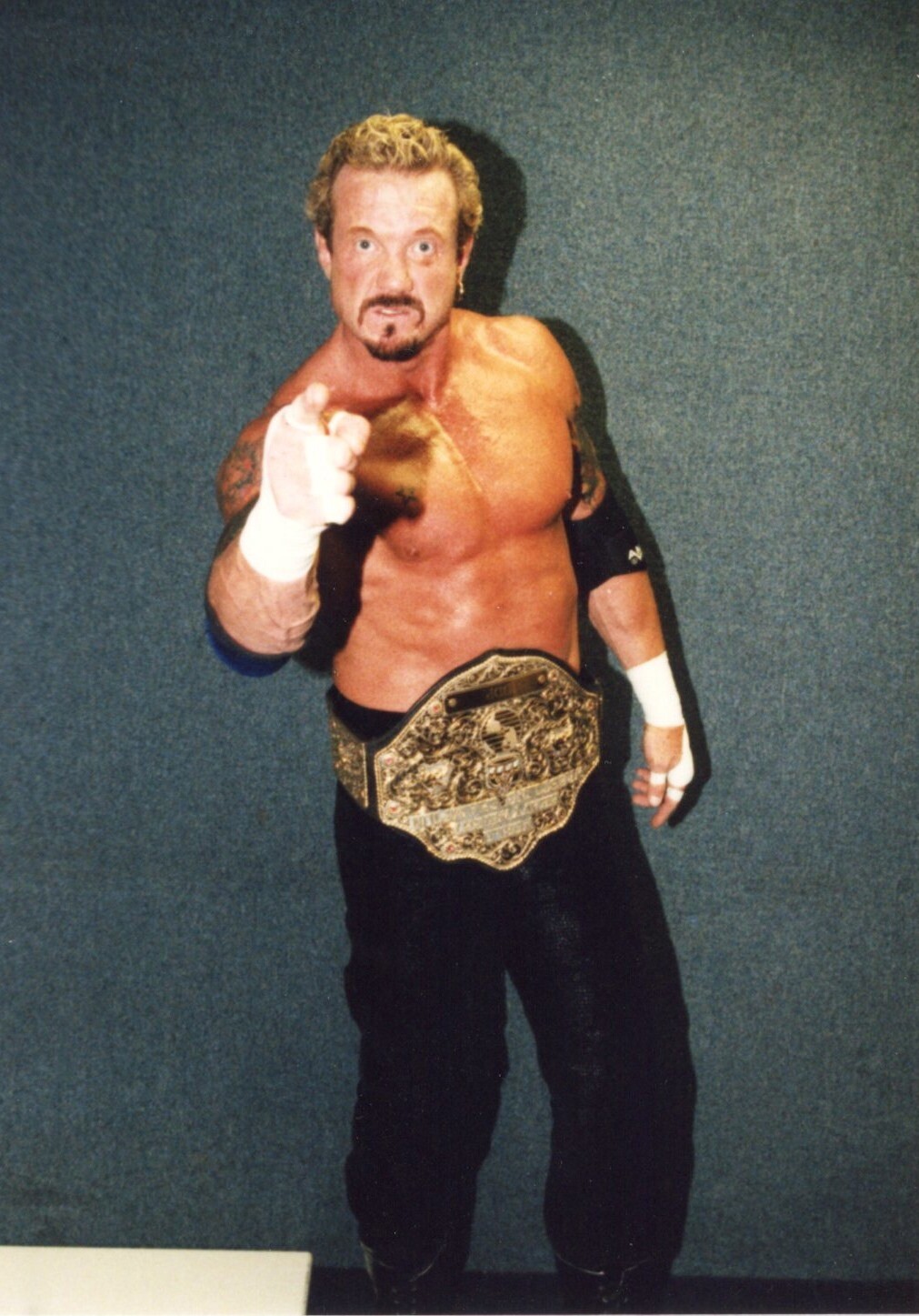 Ddp Wcw Champion