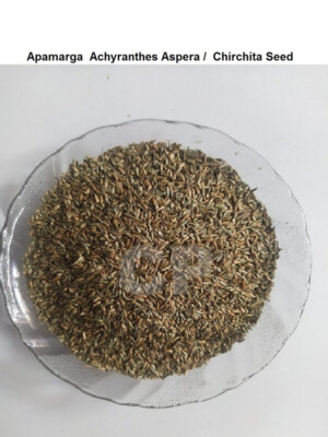 Apamarga Achyranthes Aspera Seeds Chirchita Chirchira Seed 500gm (17.63 ...
