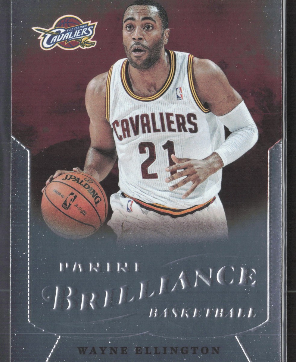 Wayne Ellington Cavs