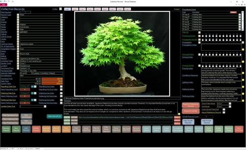 New 2020 Version Bonsai Collector Database Professional Software Download | eBay