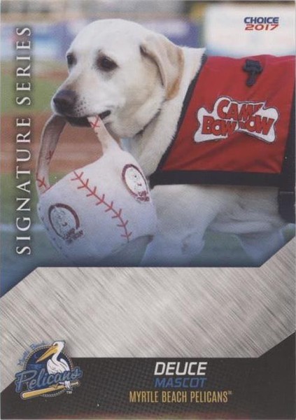 2017 Choice Myrtle Beach Pelicans - #37 Deuce (RC) for sale online | eBay