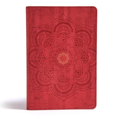 CSB Essential Teen Study Bible-Red Flower Cork LeatherTouch ...