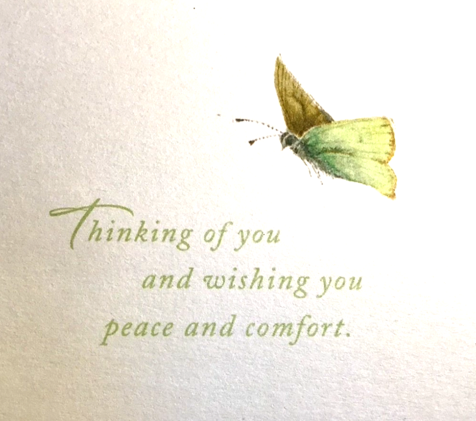 SYMPATHY Card,Nature's Sketchbook for Friend "Deepest Sympathy-Thinking ...