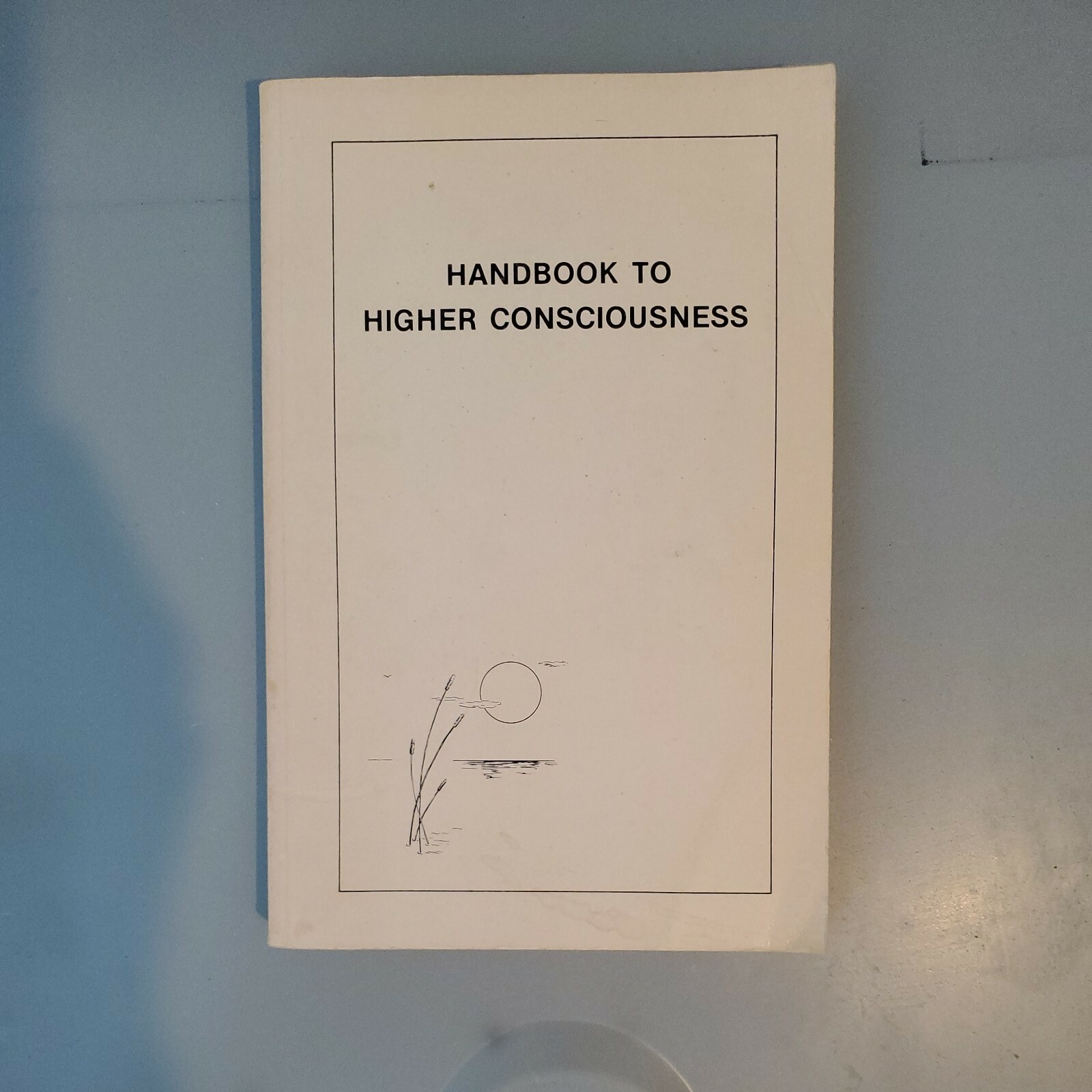 1974 Handbook to Higher Consciousness Ken Keyes Jr Fourth Edition 1st ...