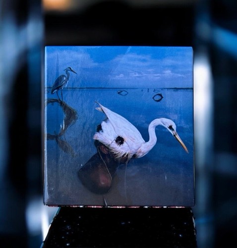 Remastered Part 2 by Kate Bush (CD, 2018) Box Set Discs Unused ...