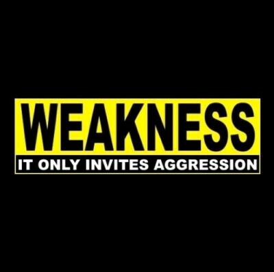 "WEAKNESS: IT ONLY INVITES AGGRESSION" window decal BUMPER STICKER gun ...