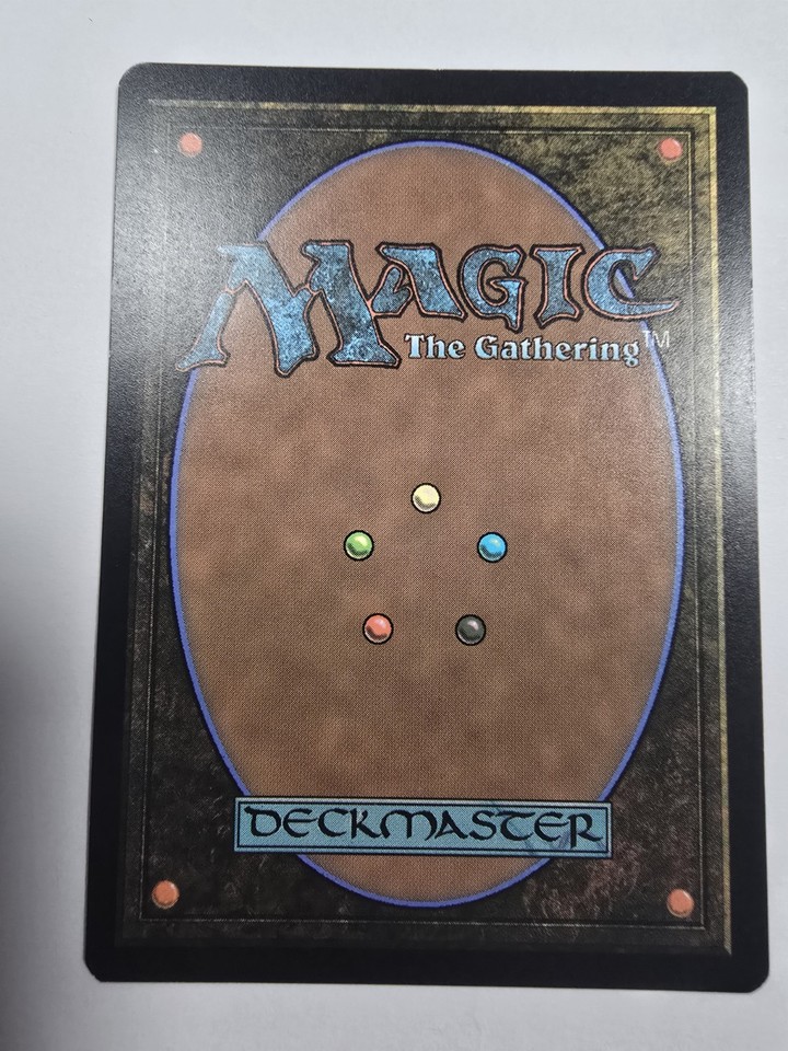 Samwise the Stouthearted (Borderless) Lord Of The Rings 449 Mtg | eBay