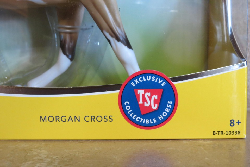 NIB Breyer TSC 2025 Exclusive Brooks Morgan pinto paint horse B-TR ...