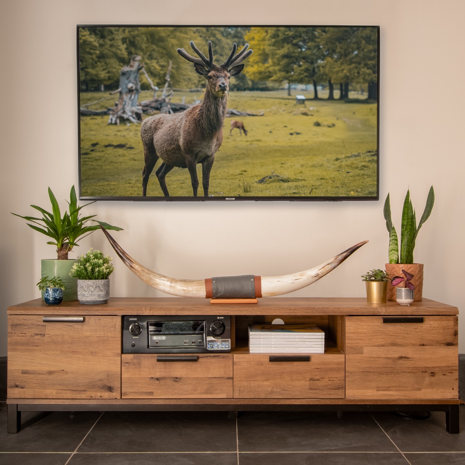 Authentic Real Bull Longhorn Leather Horn Mount Taxiderm 130cm Steer ...