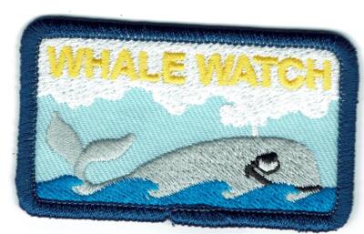 boy girl cub WHALE WATCHING Fun Patches Crests Badges GUIDES SCOUTS ...