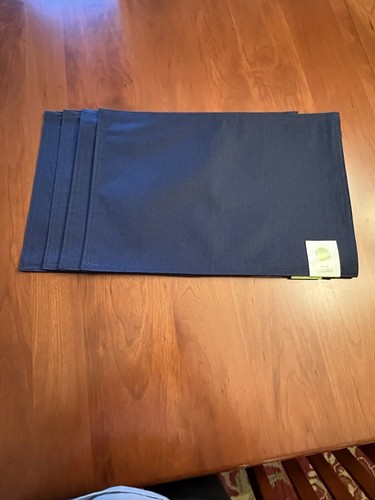 Food Network Indigo Woven Placemats Lot of 4 (NWT) | eBay